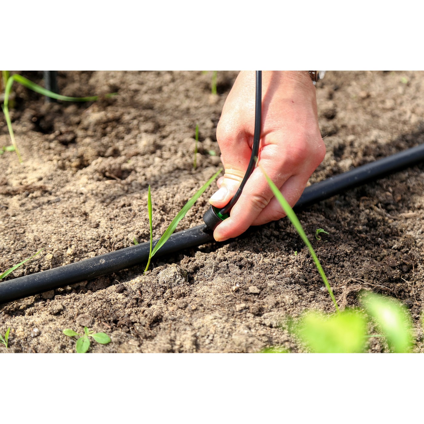 Капельный полив от водопровода ЖУК 90 растений — купить по низкой цене | Ugolok.by