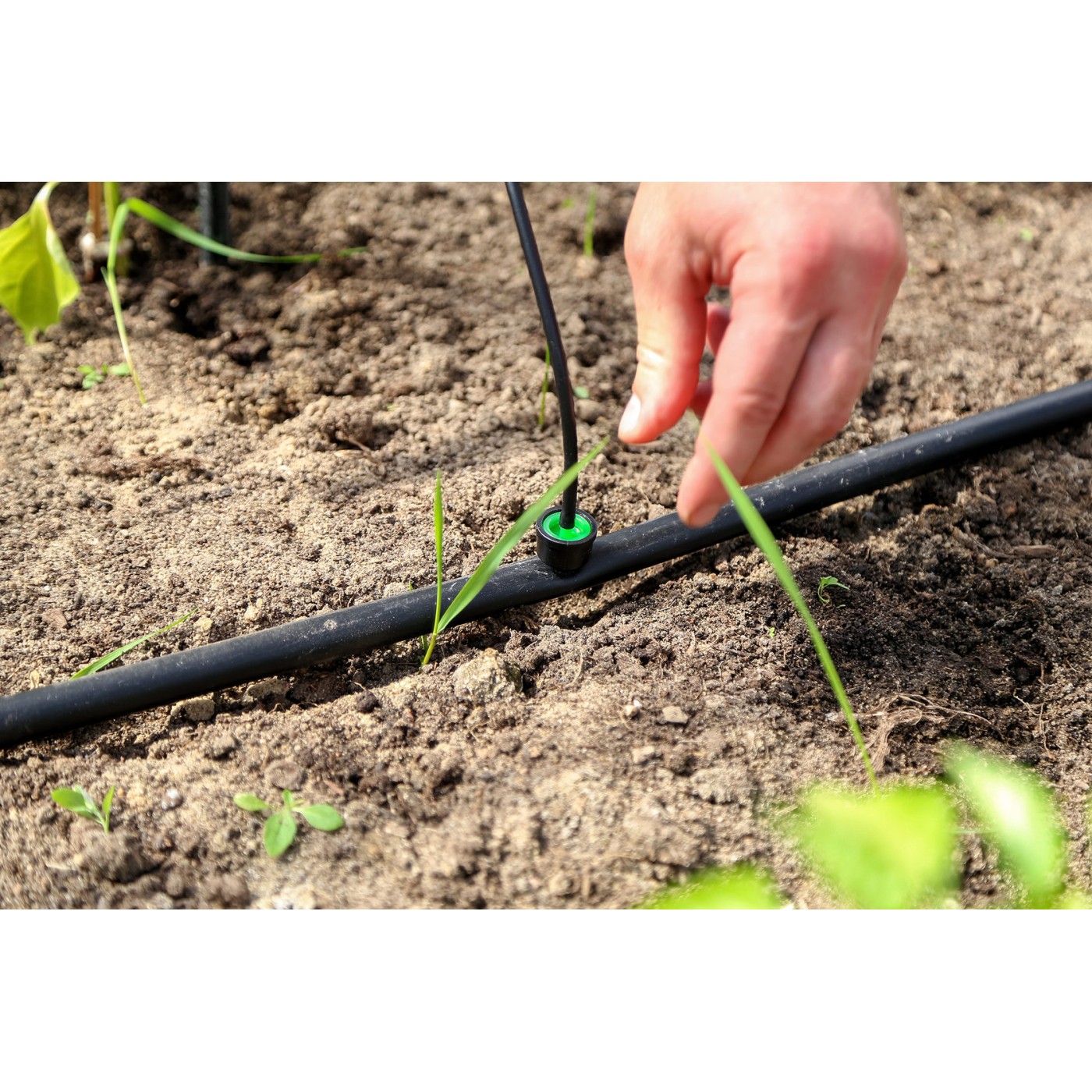 Капельный полив от водопровода ЖУК 90 растений — купить по низкой цене | Ugolok.by