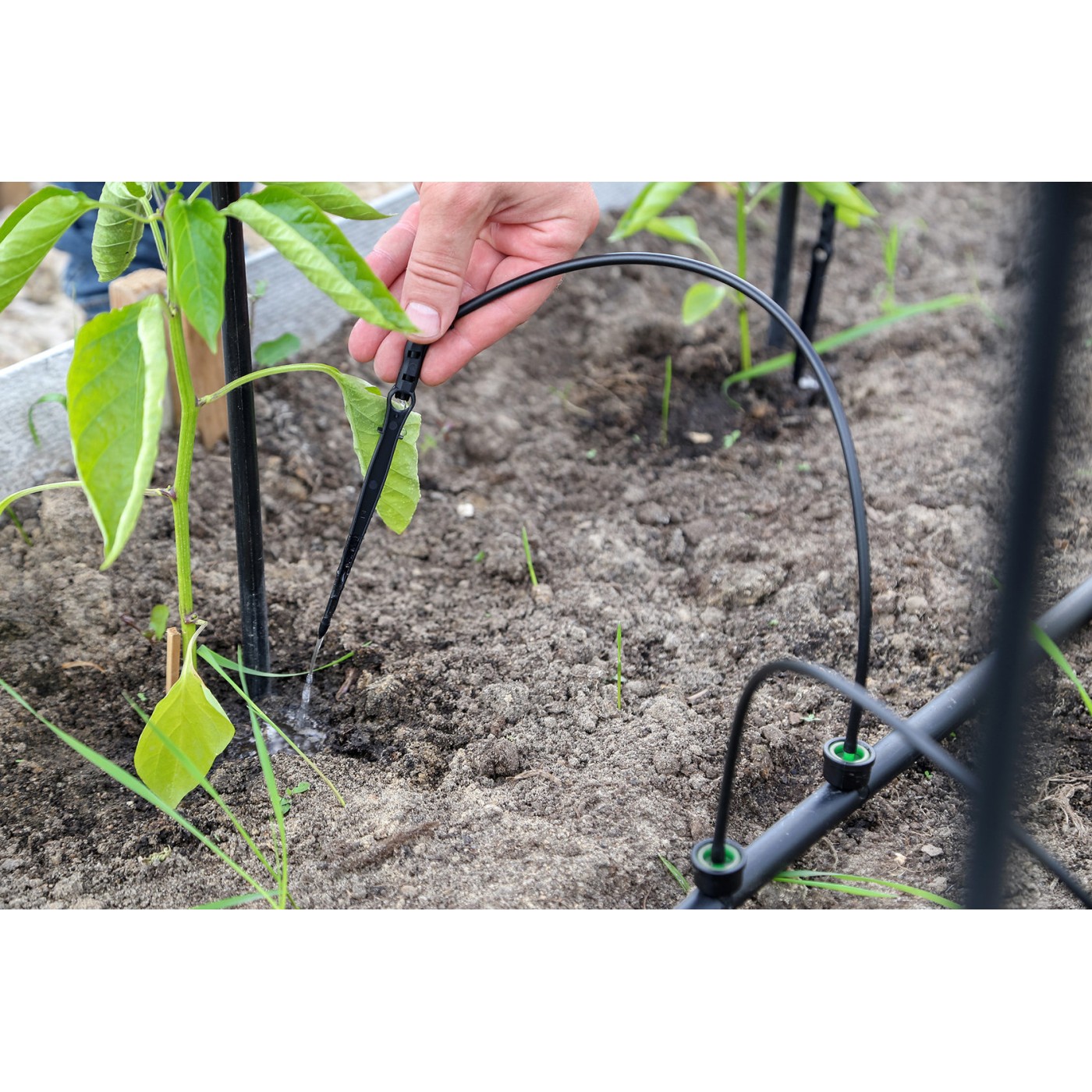 Капельный полив от водопровода ЖУК 90 растений — купить по низкой цене | Ugolok.by