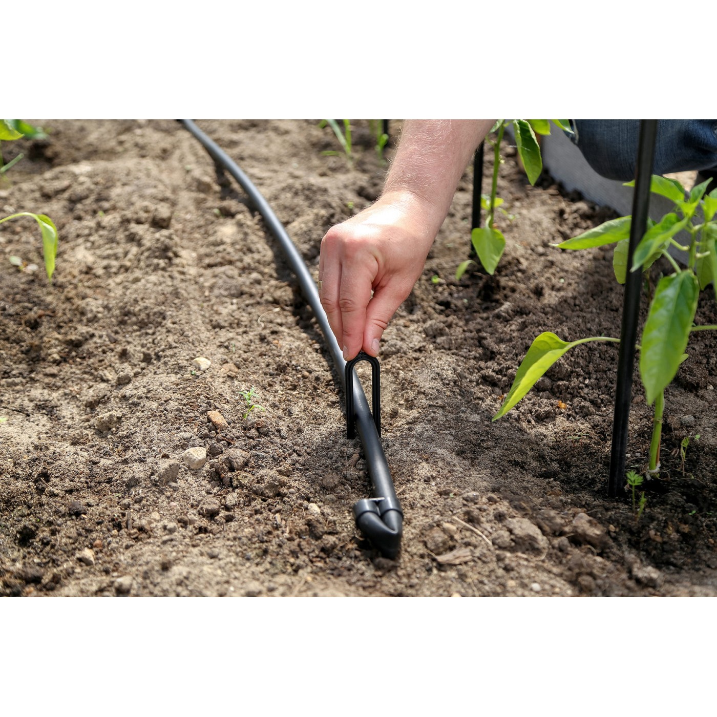 Капельный полив от водопровода ЖУК 90 растений — купить по низкой цене | Ugolok.by